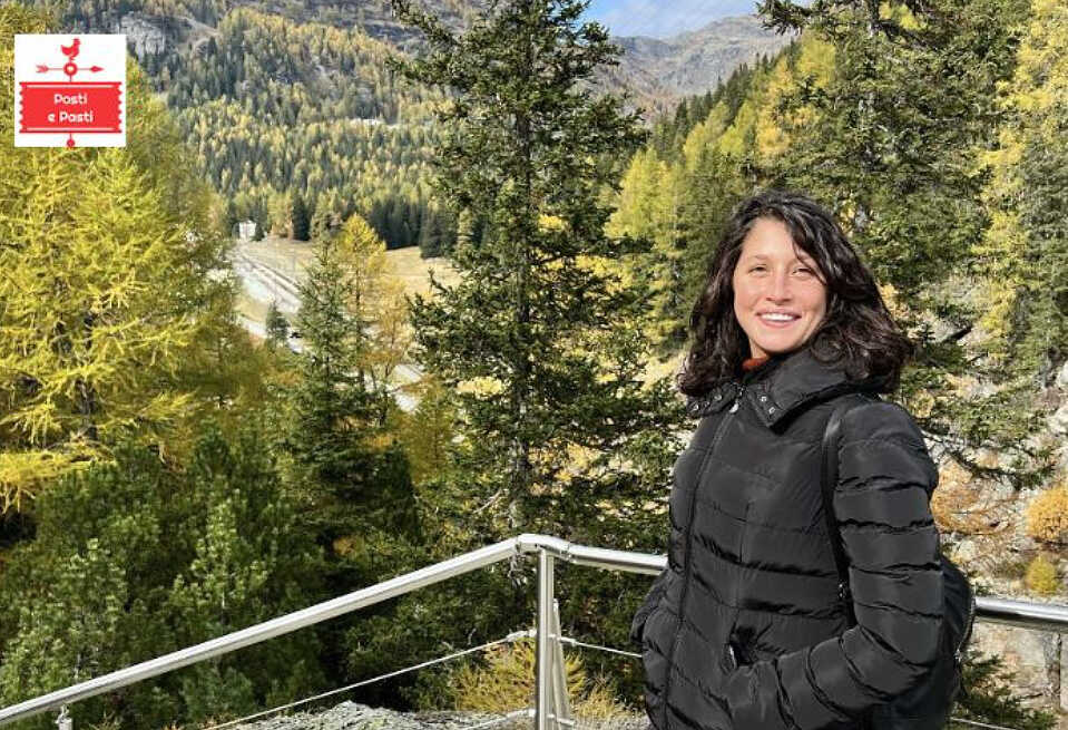 Articoli - Francesca Macoratti
